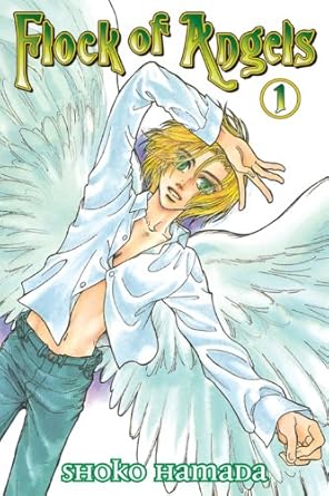 Flock of Angels Vol 1 – Super Anime Store